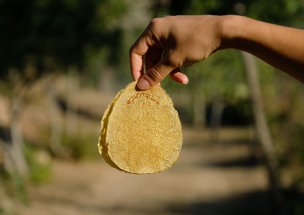 Portfolios - ARTS THREAD